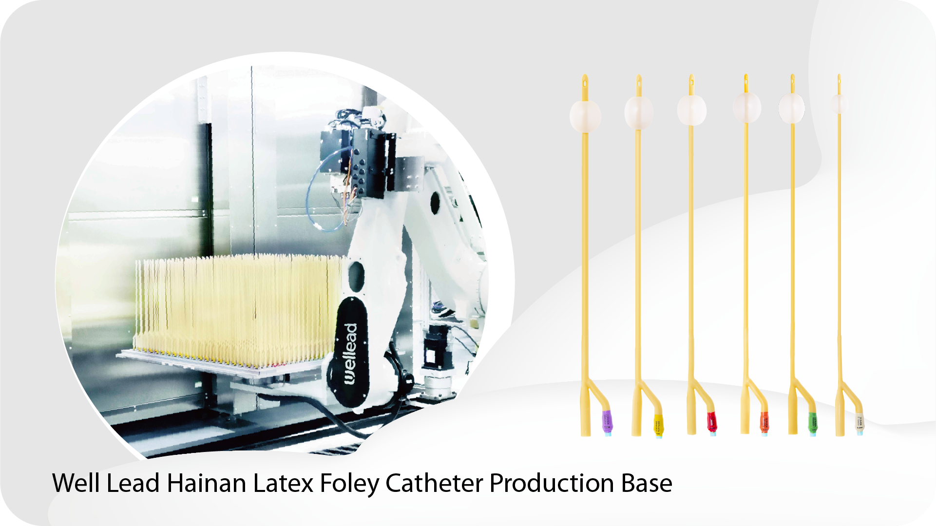 Well Lead Hainan Latex Foley Catheter Production Base - Well Lead