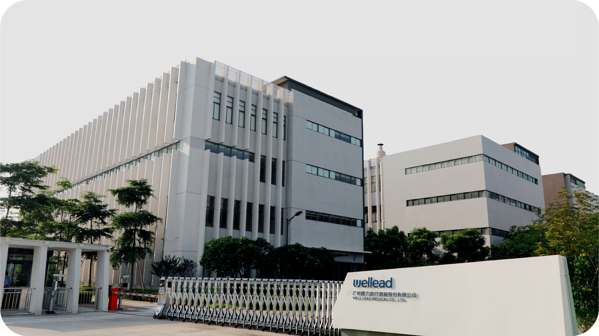 One-Stop Medical Catheter Supply & Solutions - Wellead Medical