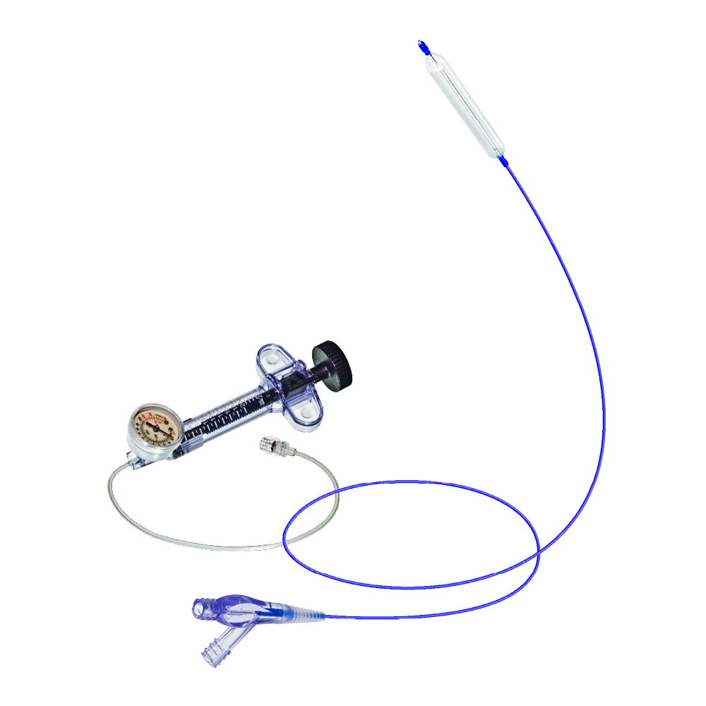 Medical Ureteral Balloon Dilation Catheter Set Wholesale - Wellead Medical