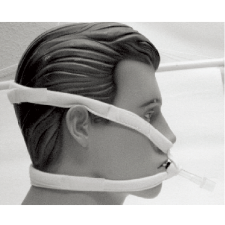 Oral Endotracheal Tube and More ett for Anesthesia - Wellead Medical