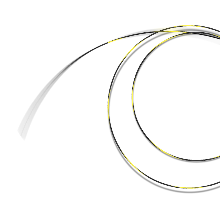 Access Sheaths for Urinary Stones - Wellead Medical