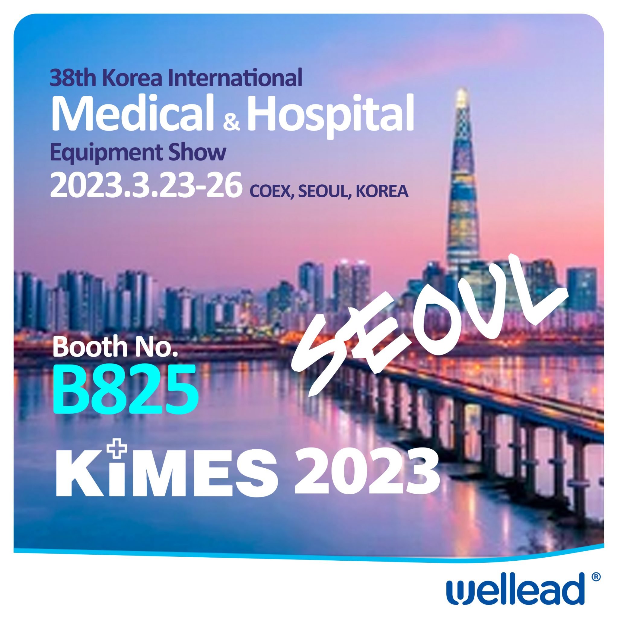 Kimes 2023 - Wellead Medical