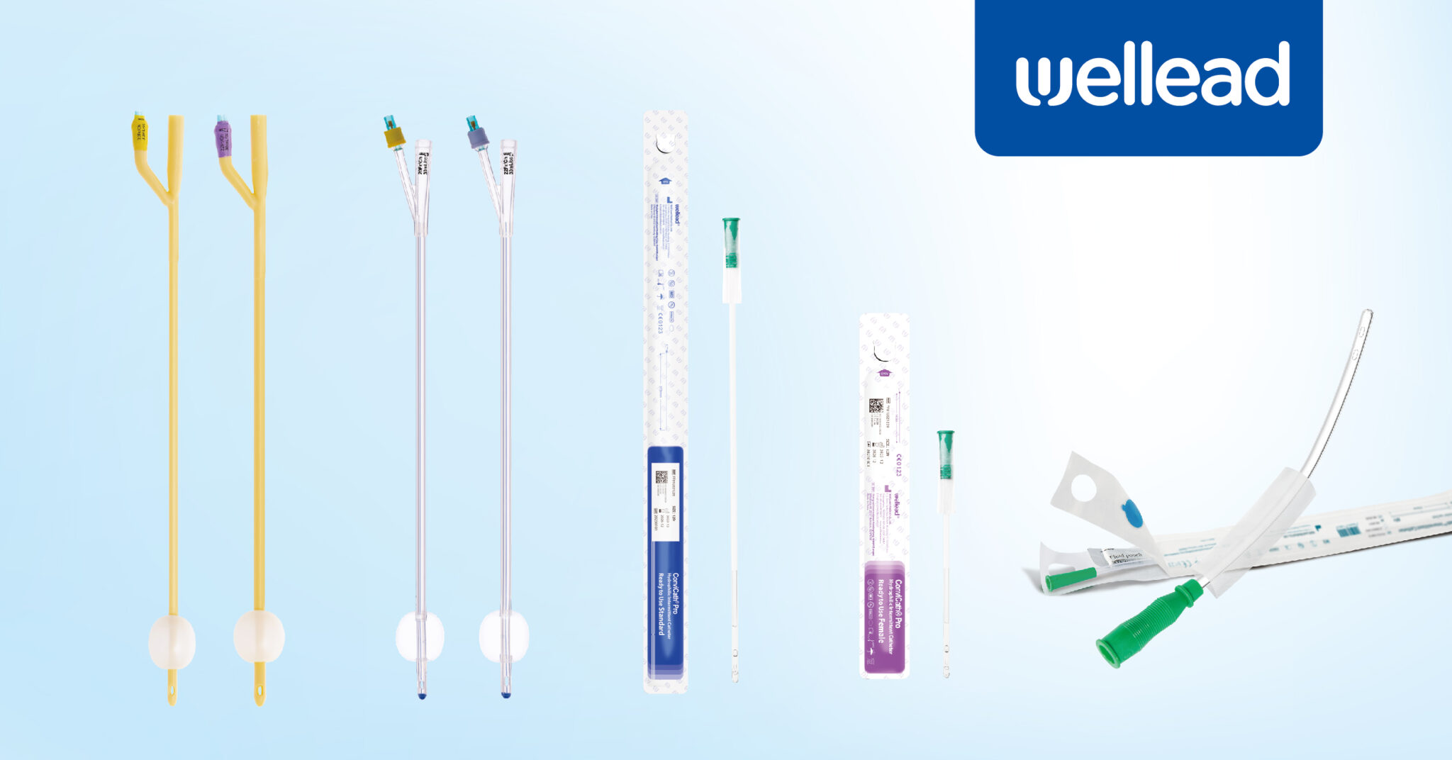 Intermittent Catheter vs. Indwelling Catheter: Key Differences ...